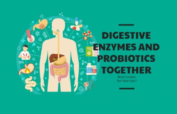 Why You Need a Probiotic Multi Enzyme for Optimal Health